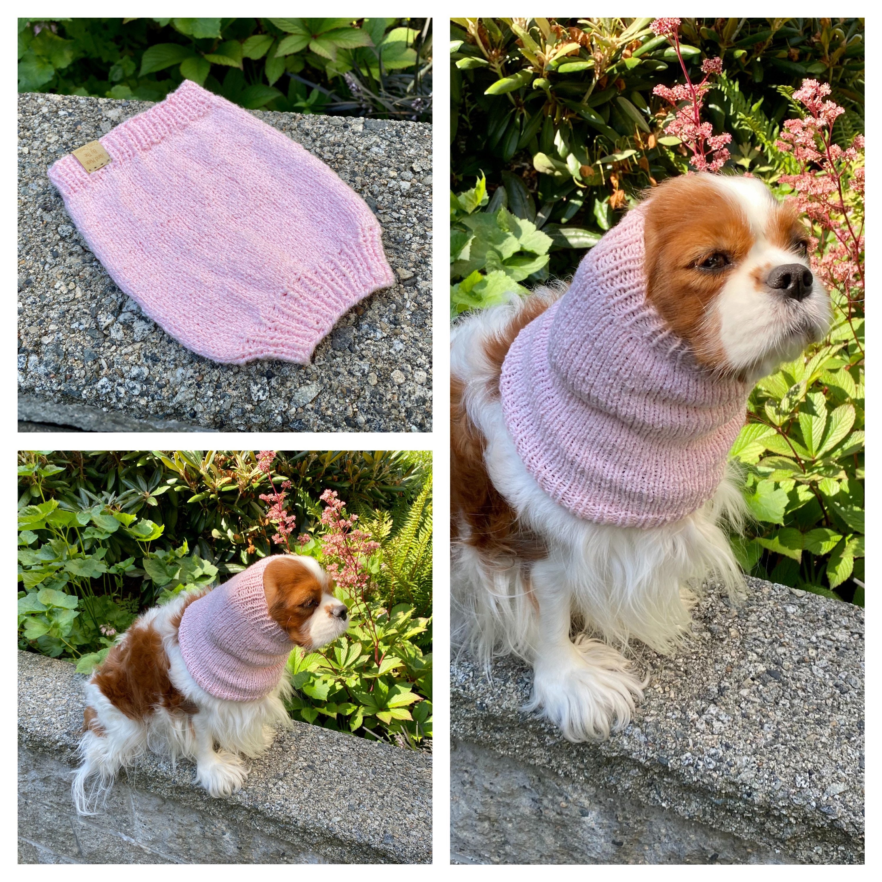 The Everyday Cotton Stretchy Snood Cavalier Spaniel Snood - Etsy Canada