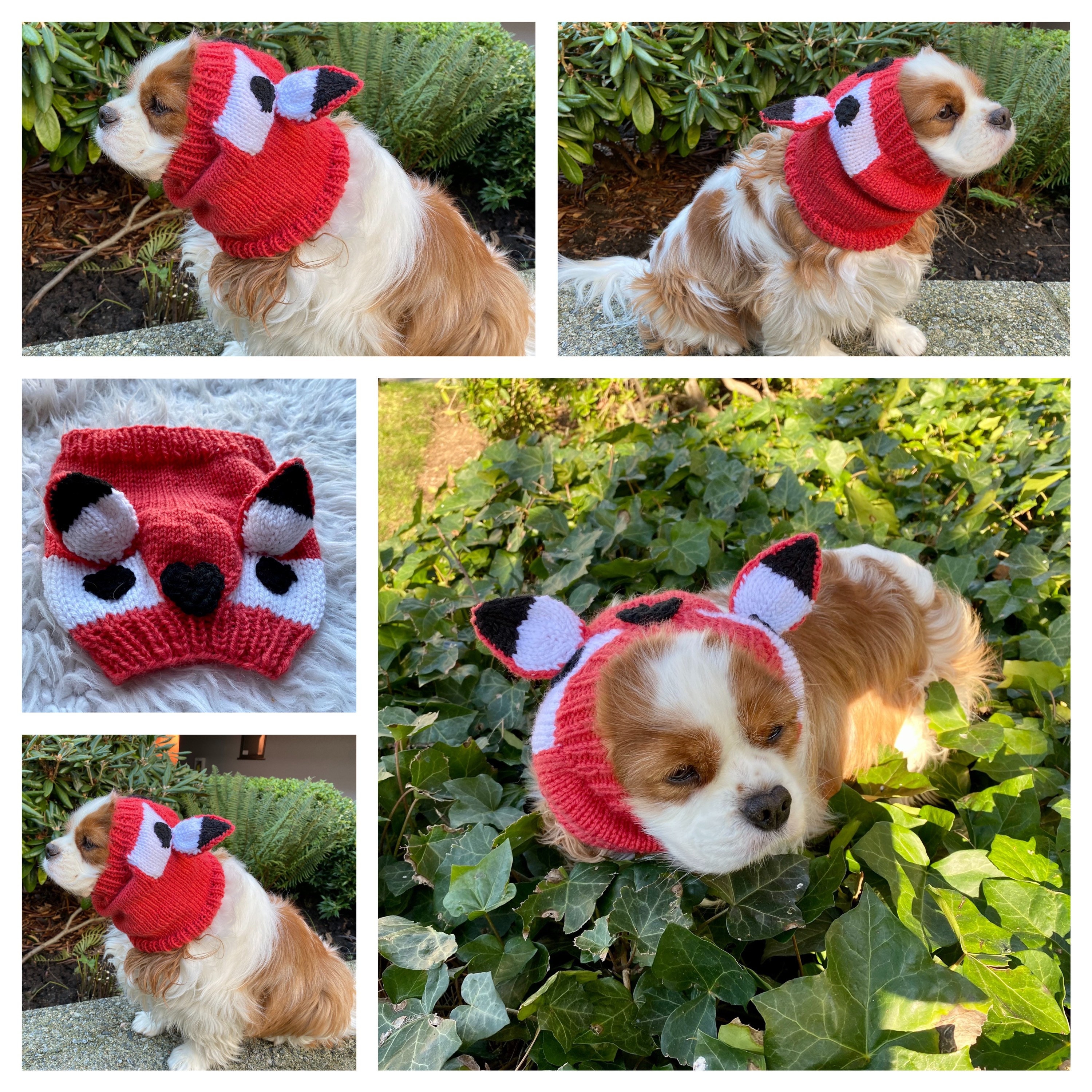 The Garden Fox Cavalier Spaniel Snood Cocker English Toy Spaniel Snood ...