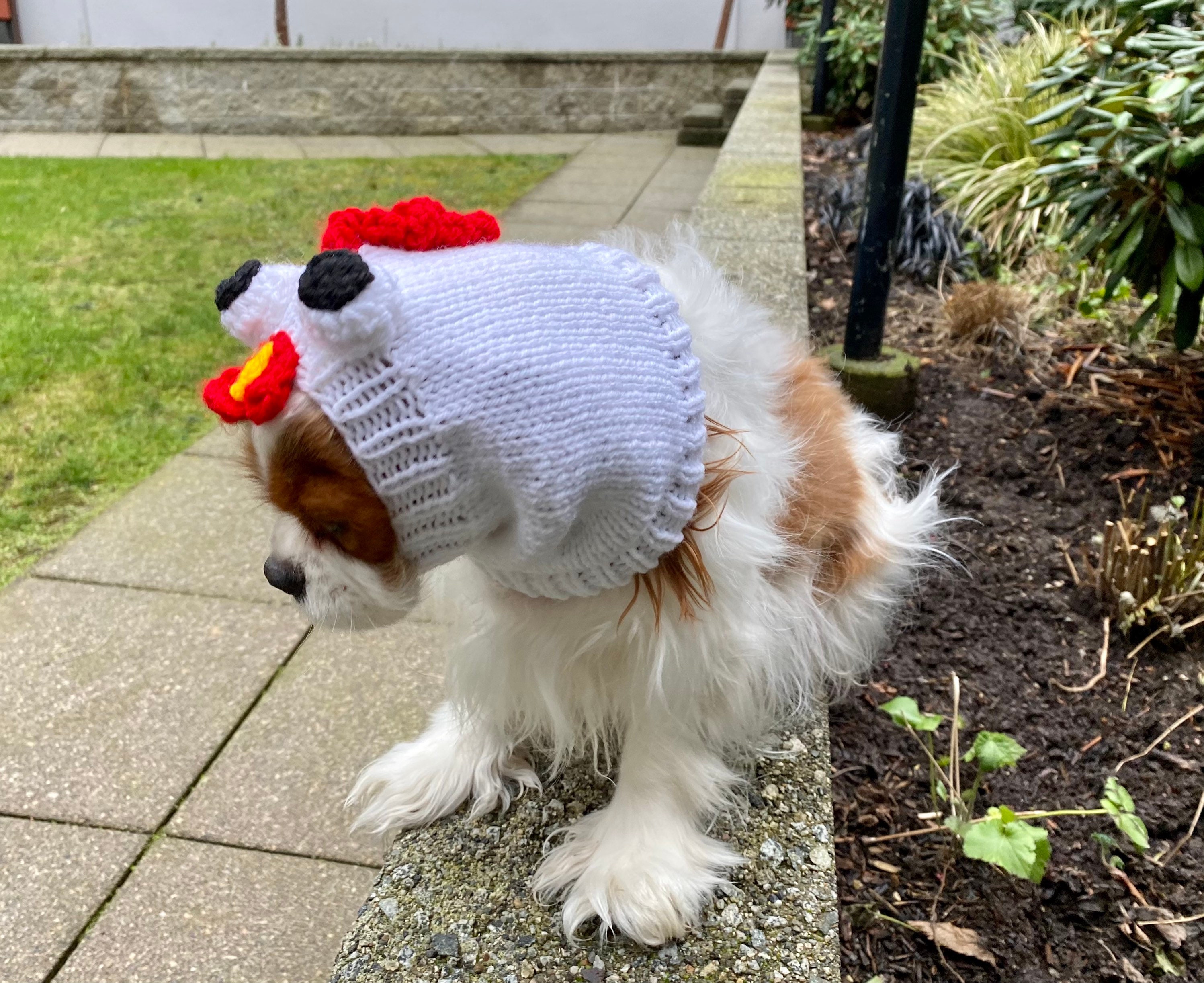 Spring Chicken Snood Cavalier Spaniel Snood Cocker English Toy | Etsy