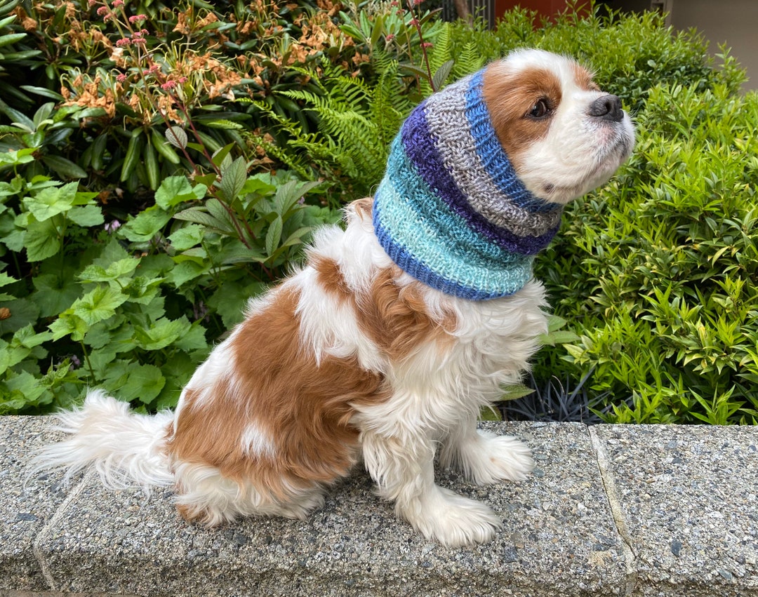 The Cozy Every Day Bubbles Snood Cavalier Spaniel Snood Cocker English ...