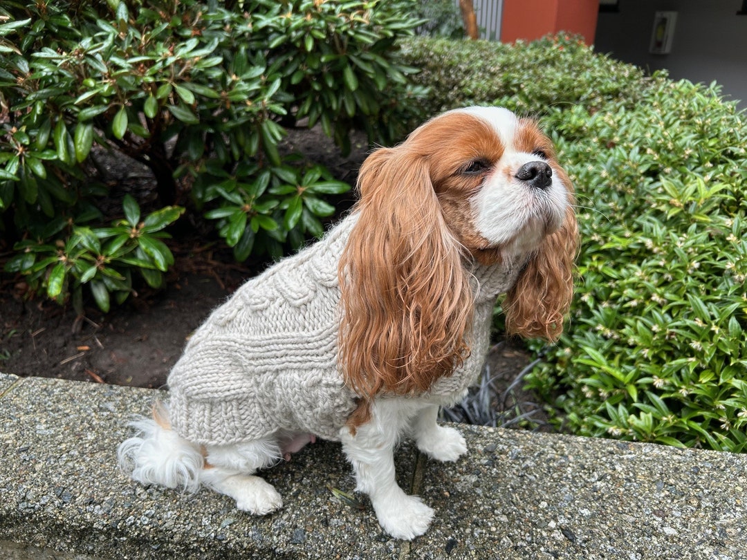 Ships Today! 100% Peruvian Wool Dog Jacket/sweater Cable Knit SMALL ...
