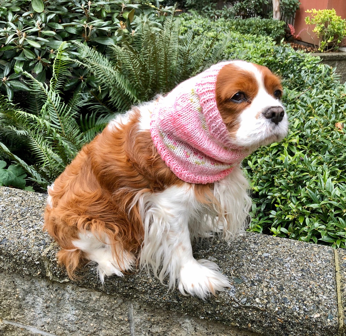 The Cozy Every Day Snood Cavalier Spaniel Snood Cocker | Etsy