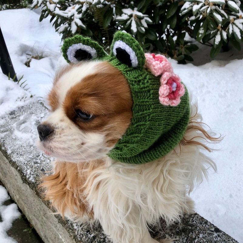 Cavalier Dog Snood - Etsy