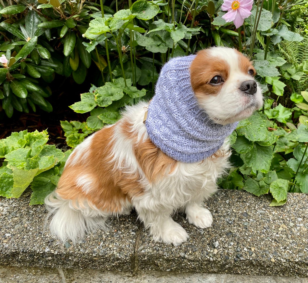The Cozy Every Day Grey Bubbles Snood Cavalier Spaniel Snood Cocker ...