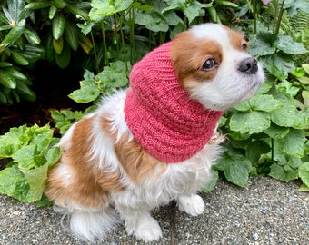 Baby Yoda Snood Cavalier Spaniel Snood Cocker English Toy Spaniel Snood ...