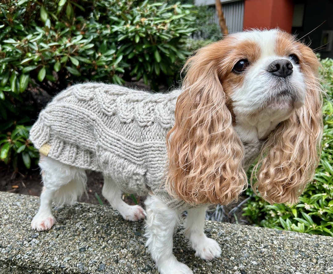 Ships Today! 100% Peruvian Wool Dog Jacket/sweater Cable Knit Medium ...