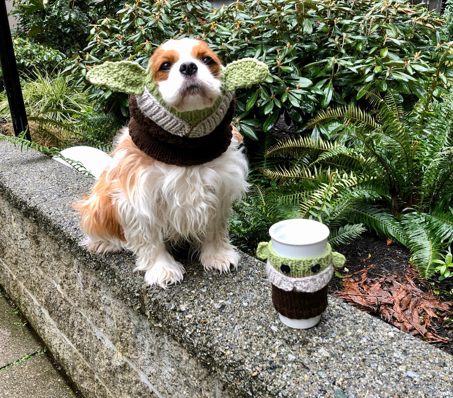 Baby Yoda Snood Cavalier Spaniel Snood Cocker English Toy | Etsy