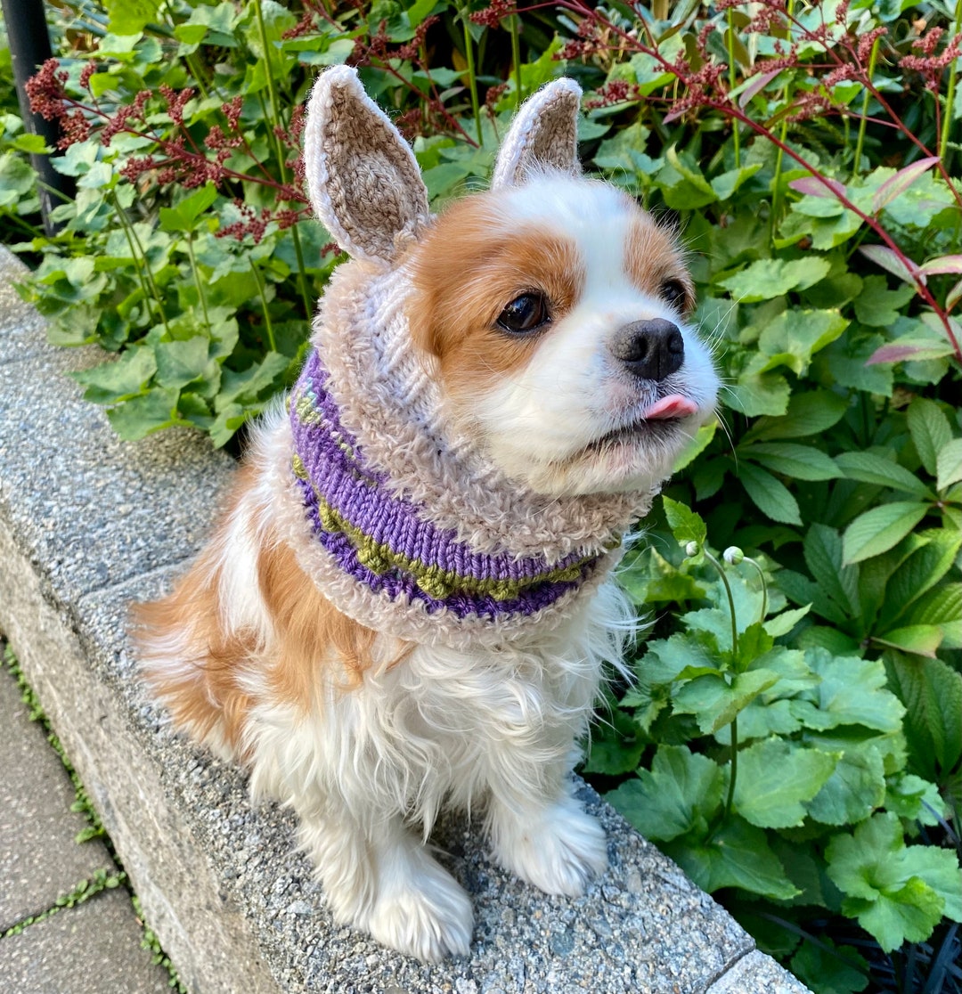 The Scrapi Cardi Bunny Snood Cavalier Spaniel Snood Cocker English Toy ...