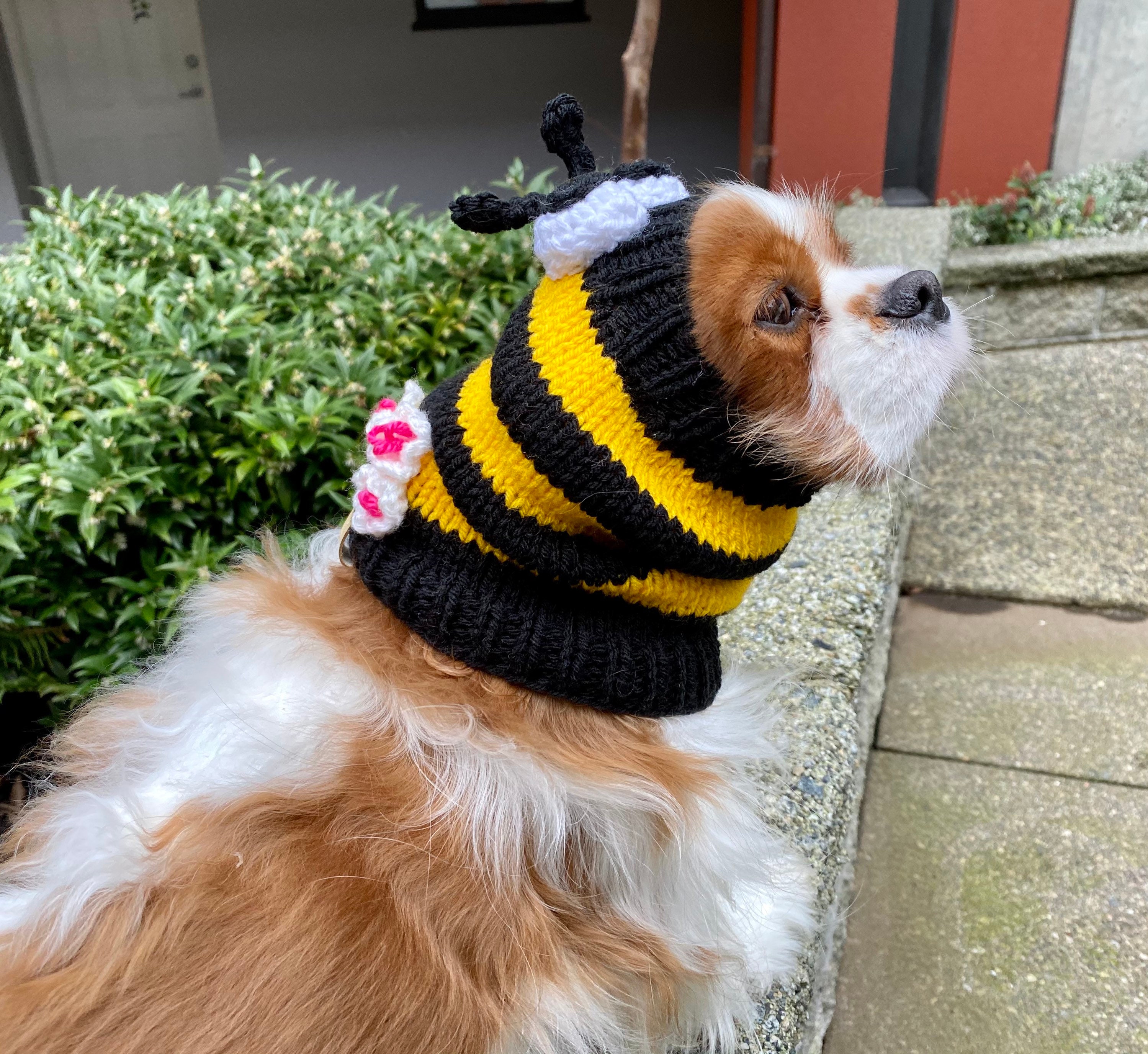 Bumble Bee Snood Cavalier Spaniel Snood Cocker English Toy | Etsy