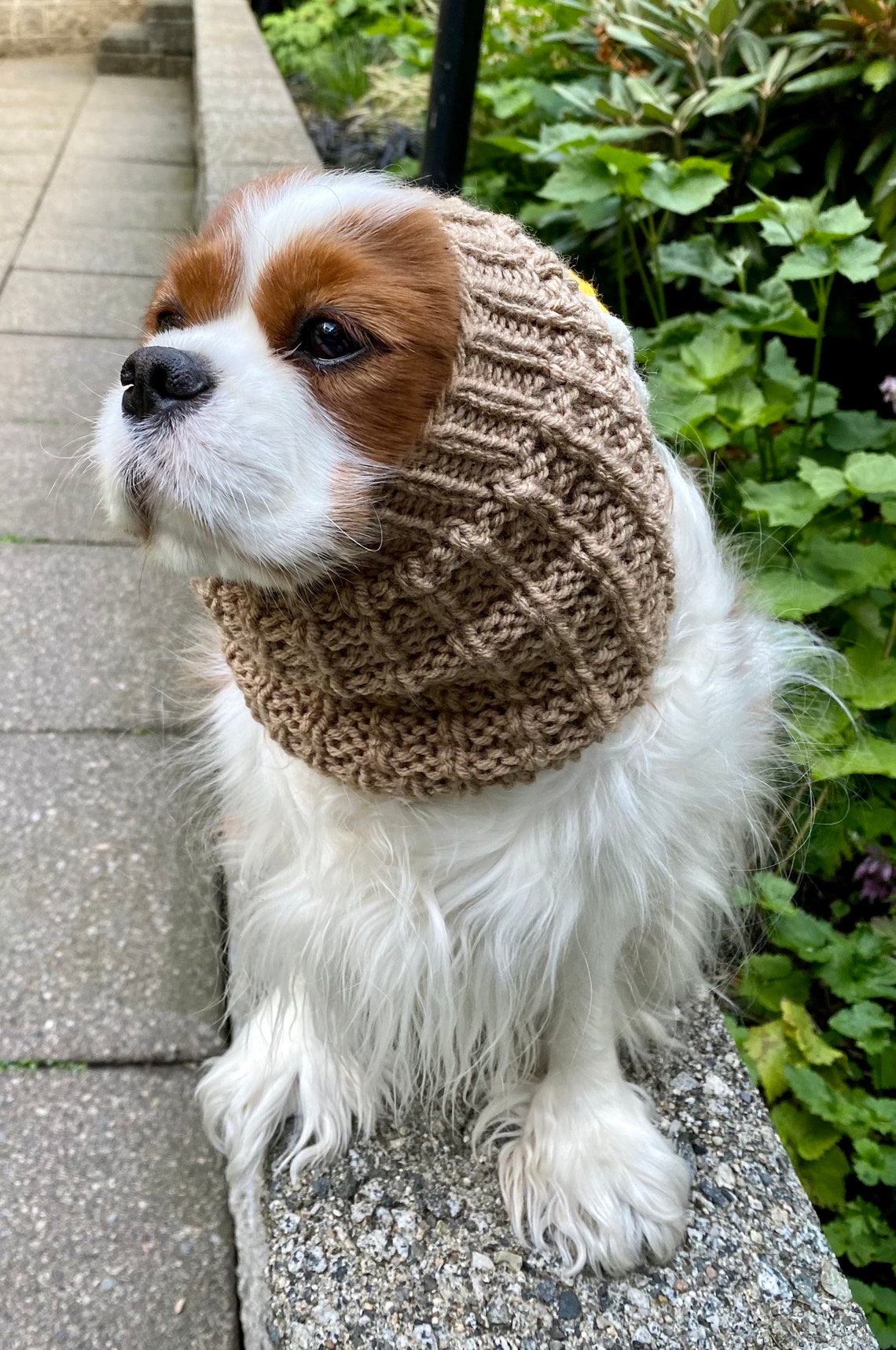 The Waffles Breakfast Snood Cavalier Spaniel Snood Cocker - Etsy