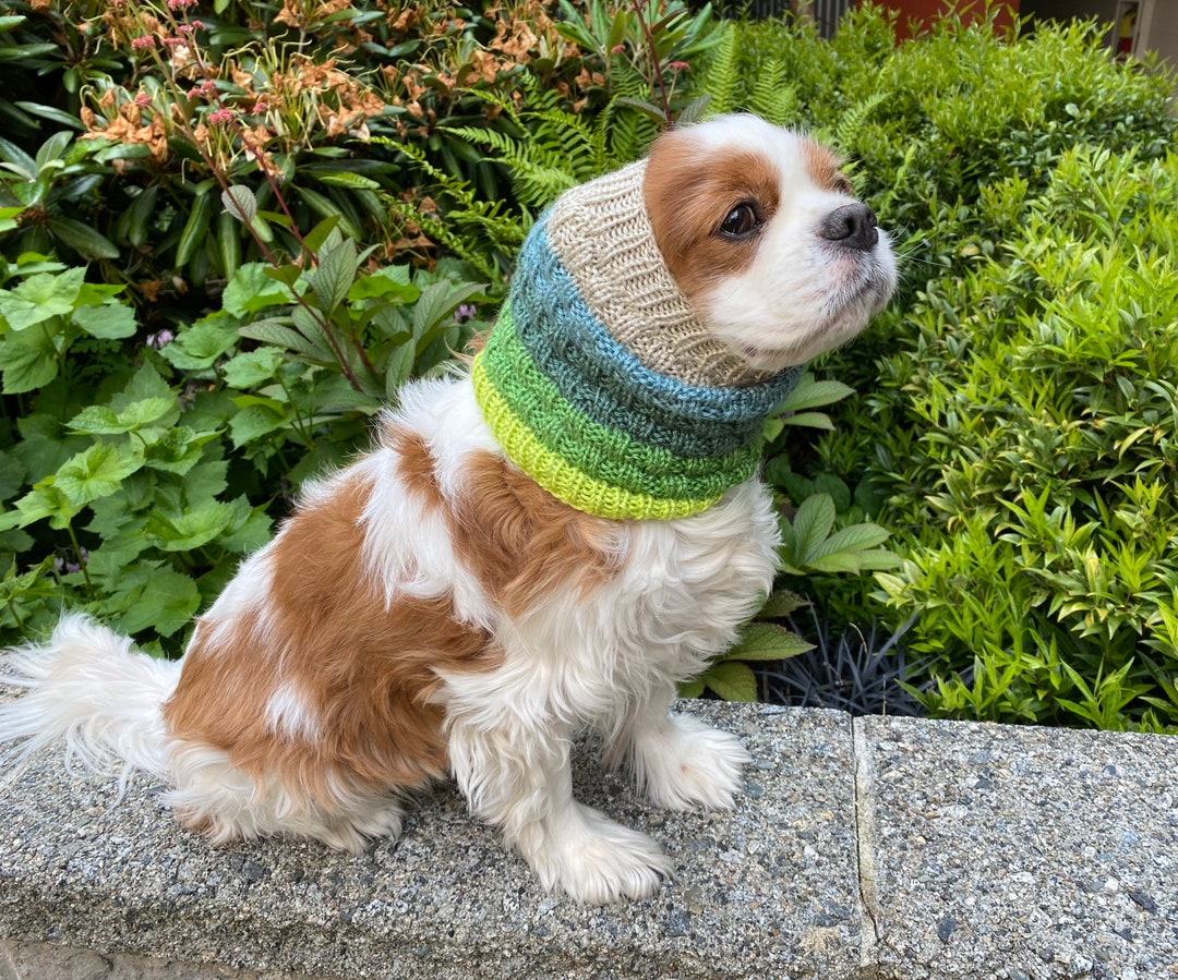 The Cozy Every Day Bubbles Snood Cavalier Spaniel Snood Cocker English ...