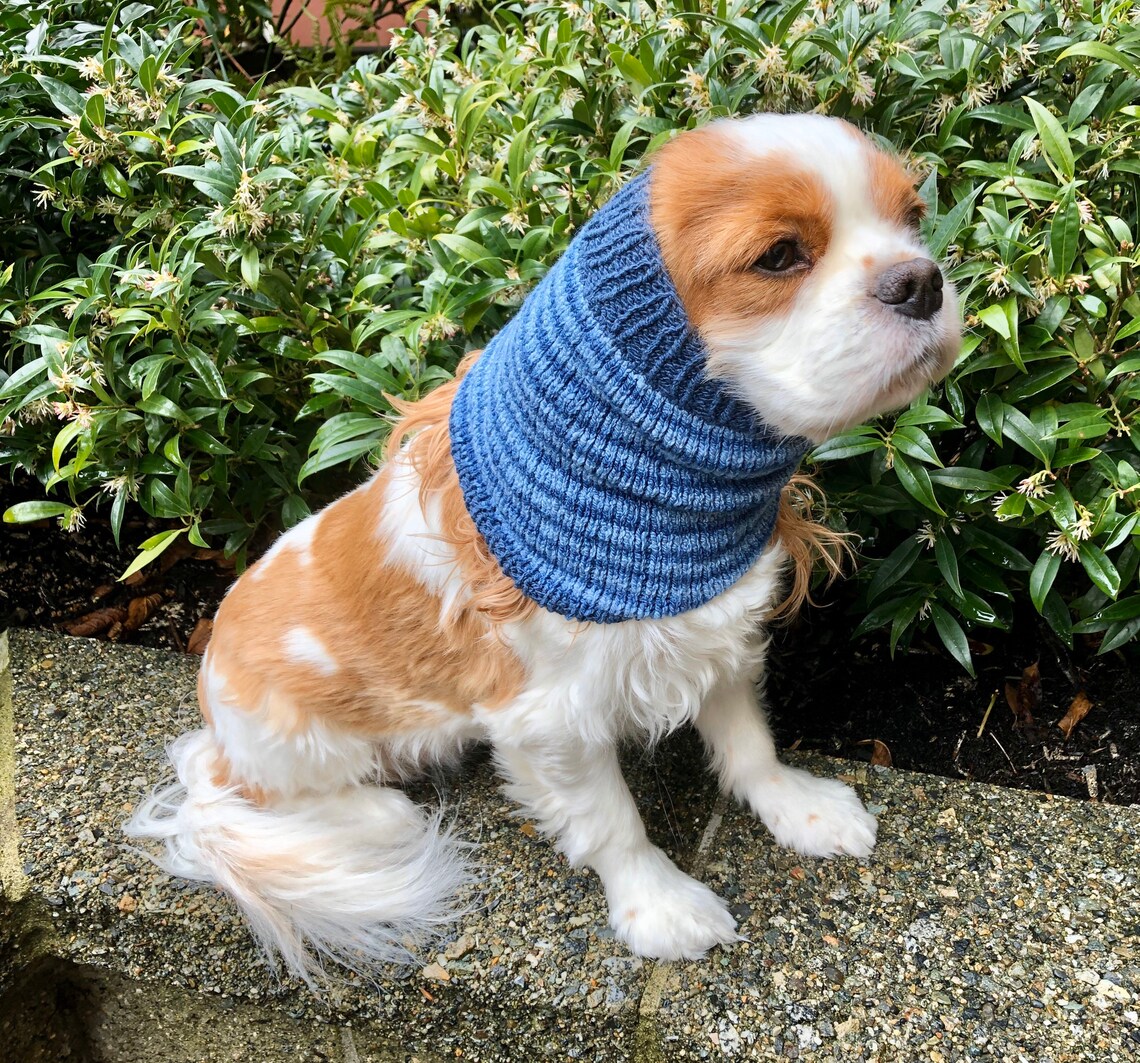 The Everyday Cotton Stretchy Snood Cavalier Spaniel Snood | Etsy