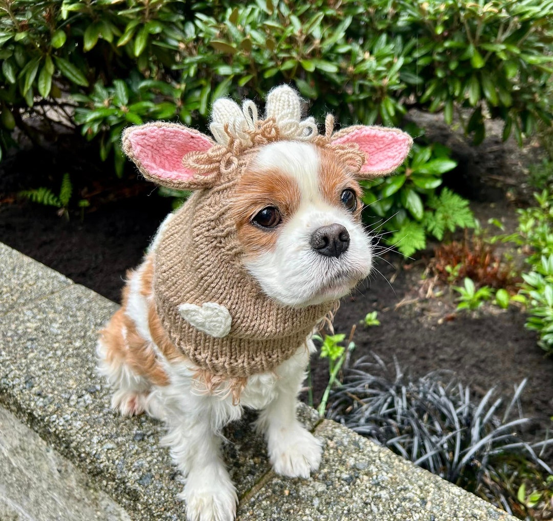 Highland House Cow Snood Cavalier Spaniel Snood Cocker English Toy ...