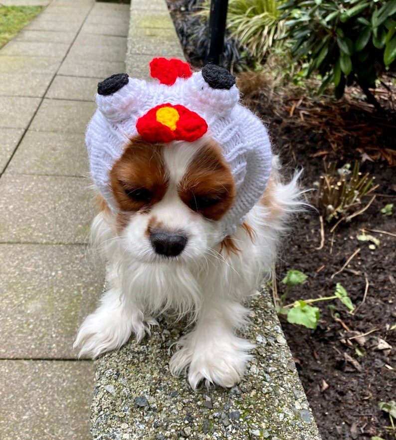 Spring Chicken Snood Cavalier Spaniel Snood Cocker English Toy | Etsy