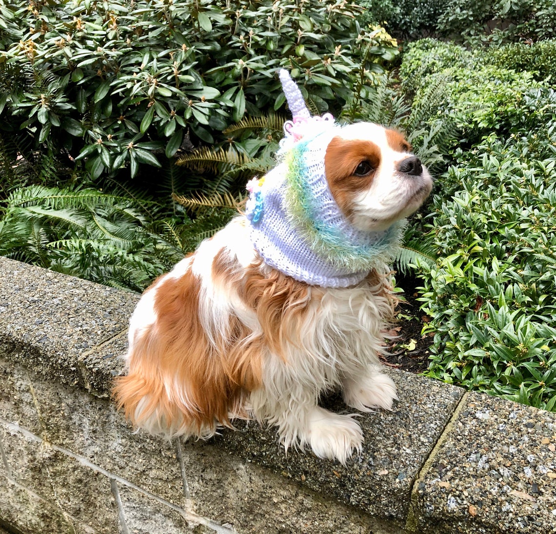 Unicorn Snood Cavalier Spaniel Snood Cocker English Toy | Etsy
