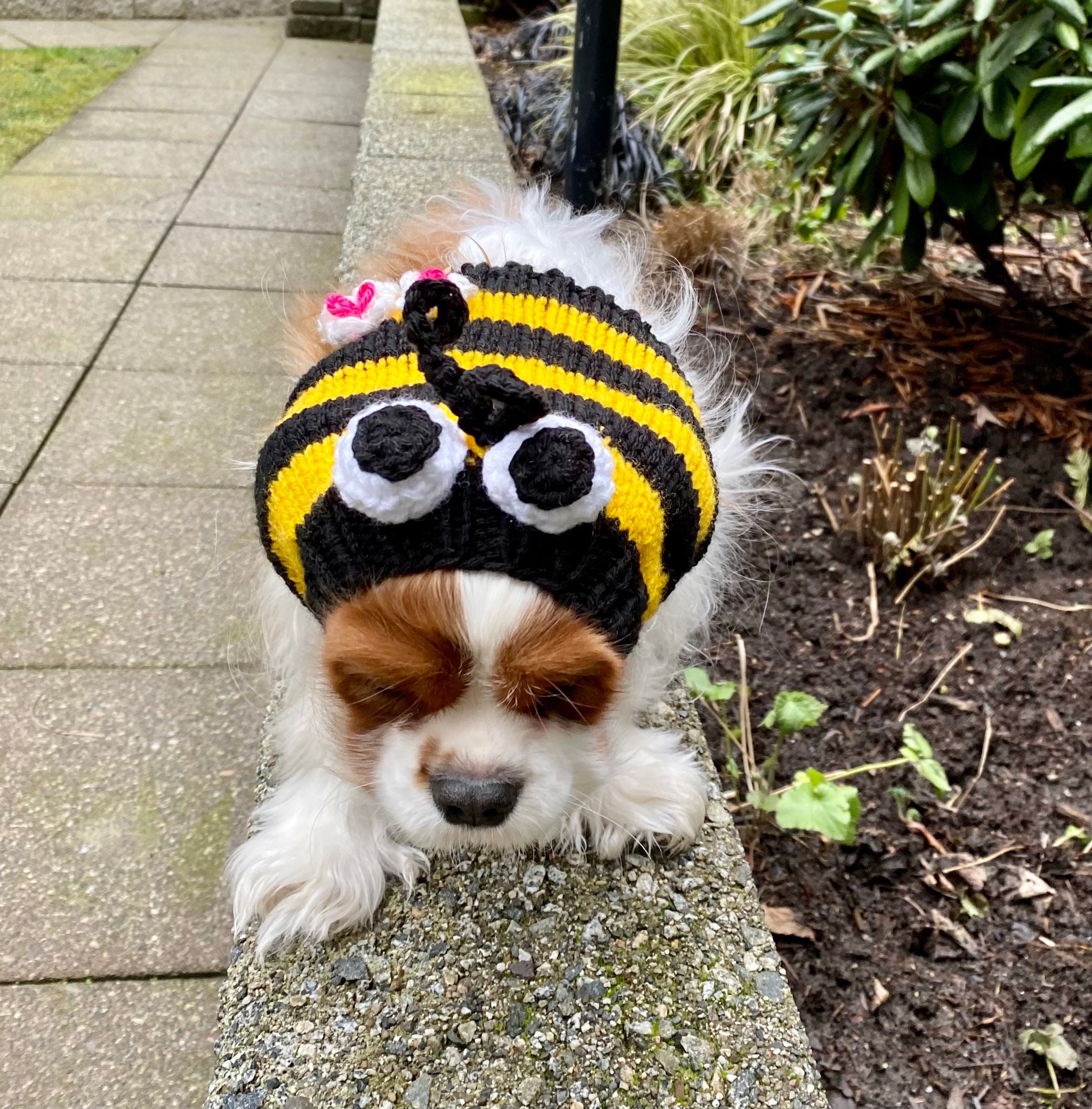 Bumble Bee Snood Cavalier Spaniel Snood Cocker English Toy | Etsy