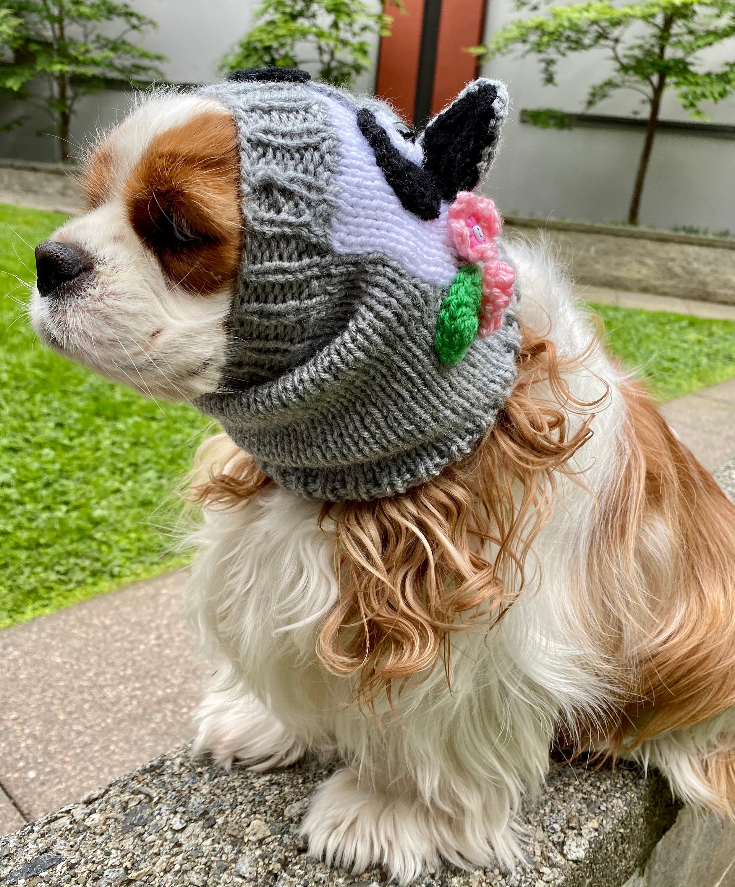 Racoon Snood Cavalier Spaniel Snood Cocker English Toy Spaniel | Etsy