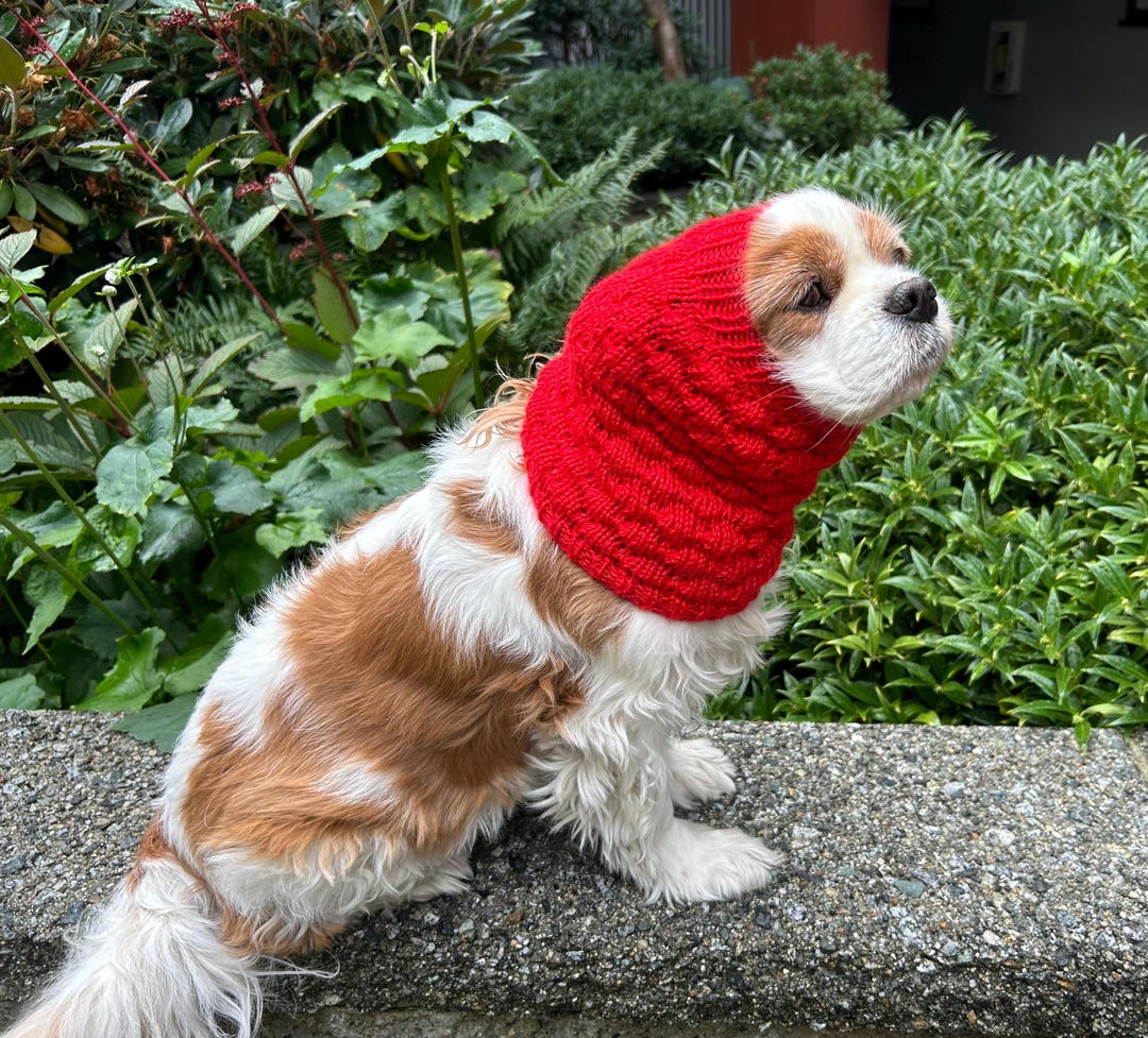 Limited Edition Every Day Party Bubbles Snood Cavalier Spaniel Snood ...