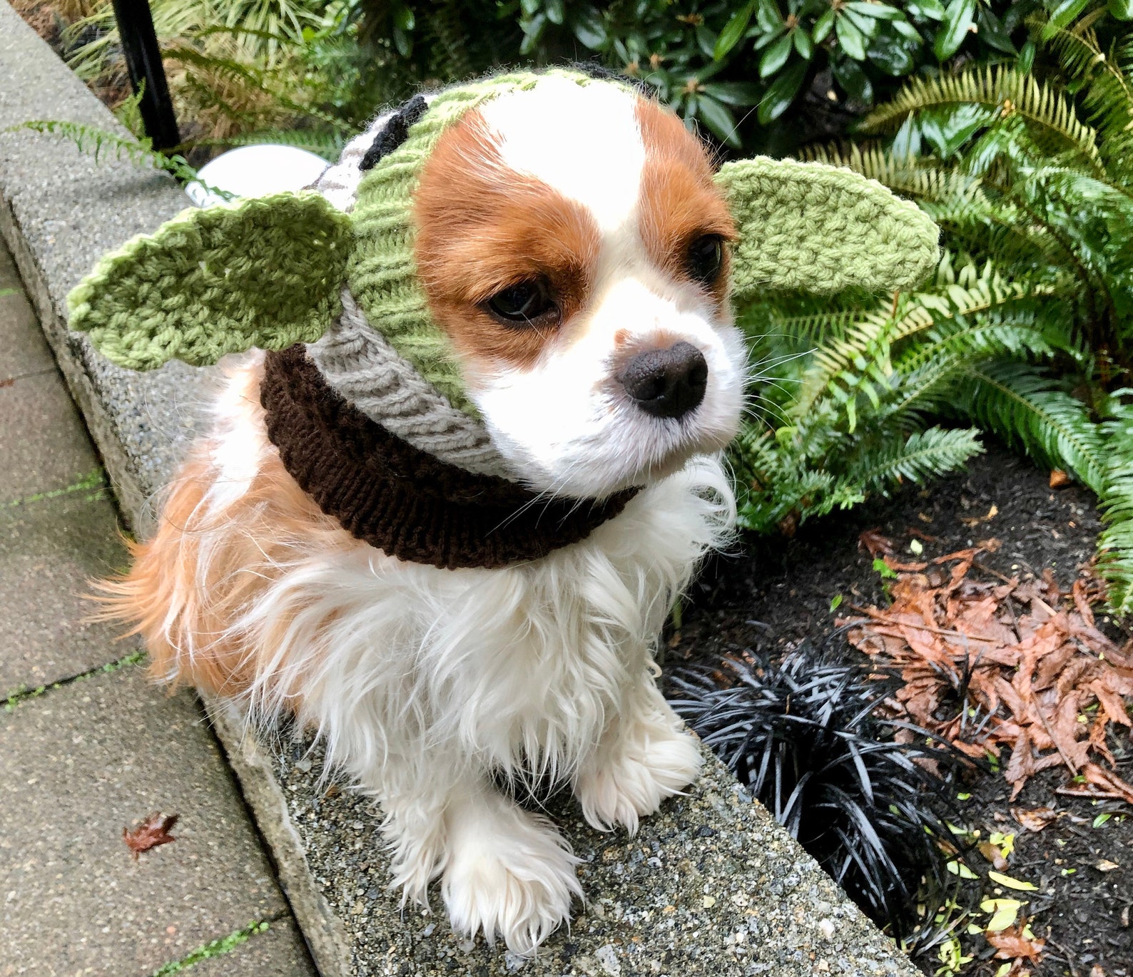Baby Yoda Snood Cavalier Spaniel Snood Cocker English Toy | Etsy