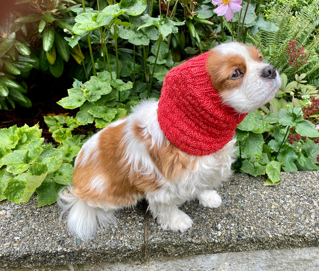 The Cozy Every Day Bubbles Snood Cavalier Spaniel Snood Cocker English ...