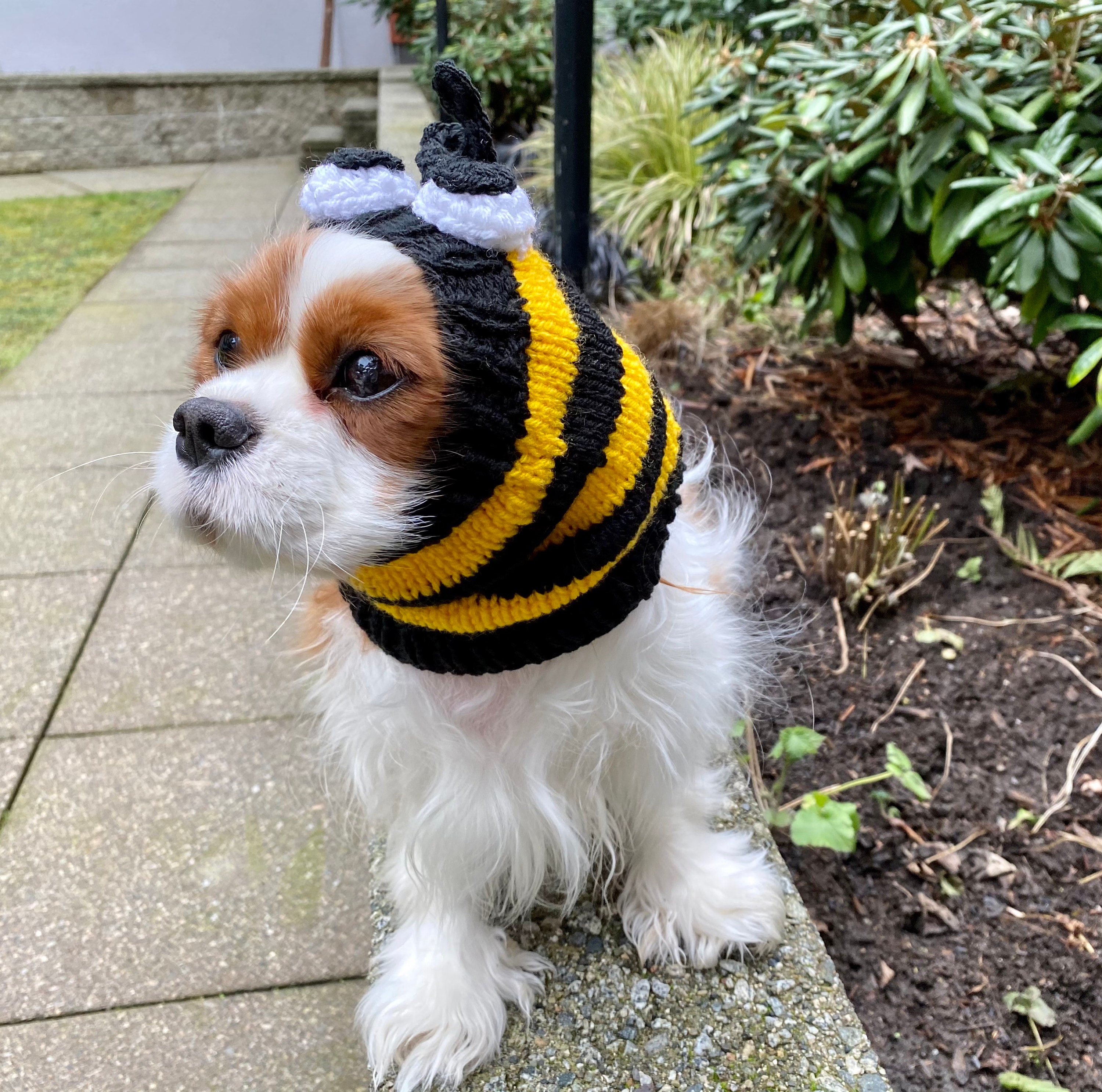 Bumble Bee Snood Cavalier Spaniel Snood Cocker English Toy | Etsy