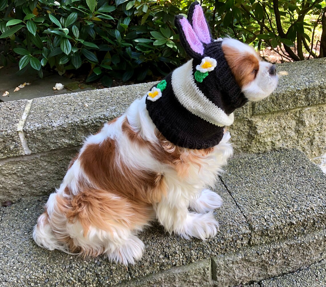 The Baby Bunny Snood Cavalier Spaniel Snood Cocker English Toy | Etsy