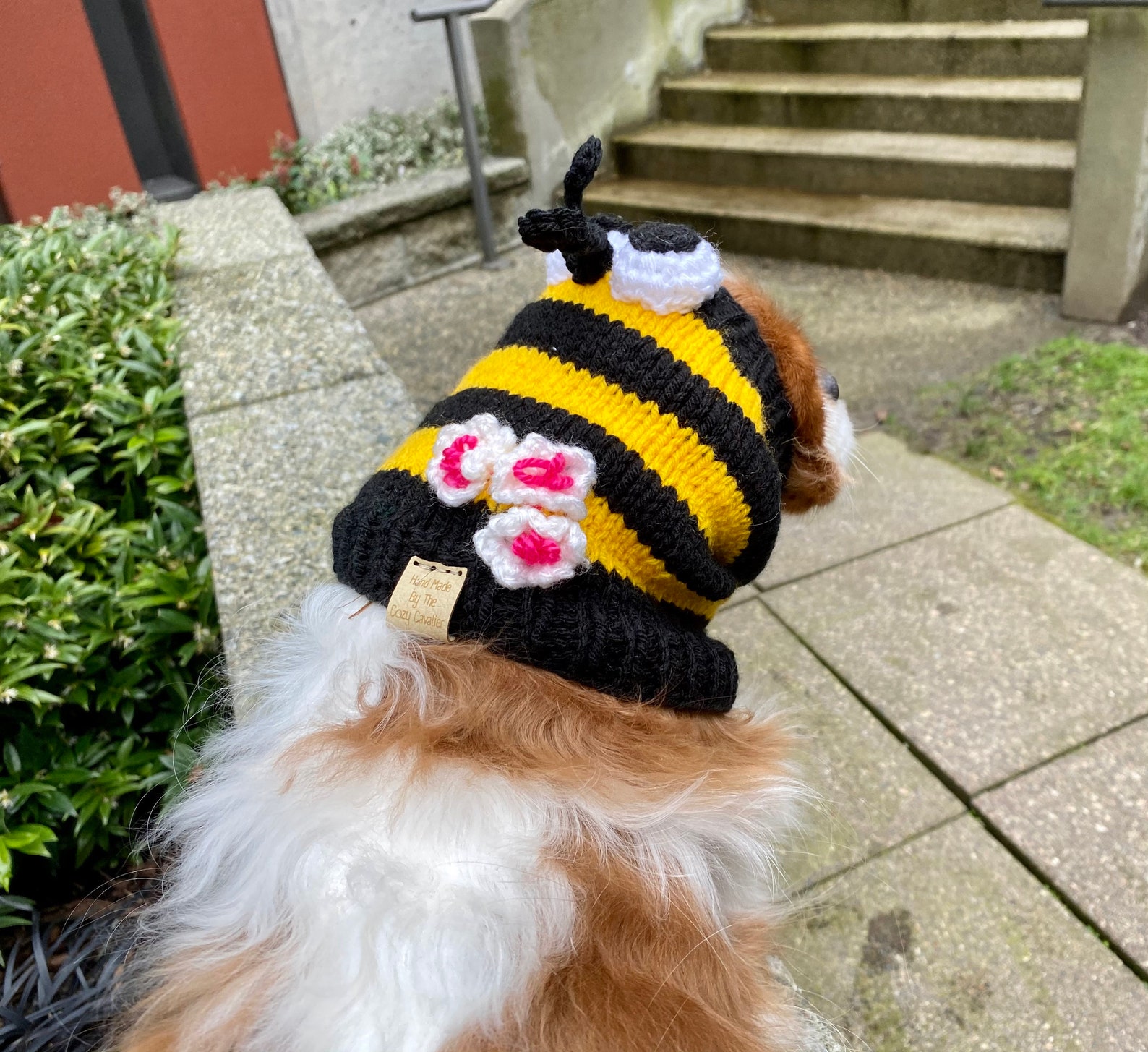 Bumble Bee Snood Cavalier Spaniel Snood Cocker English Toy | Etsy