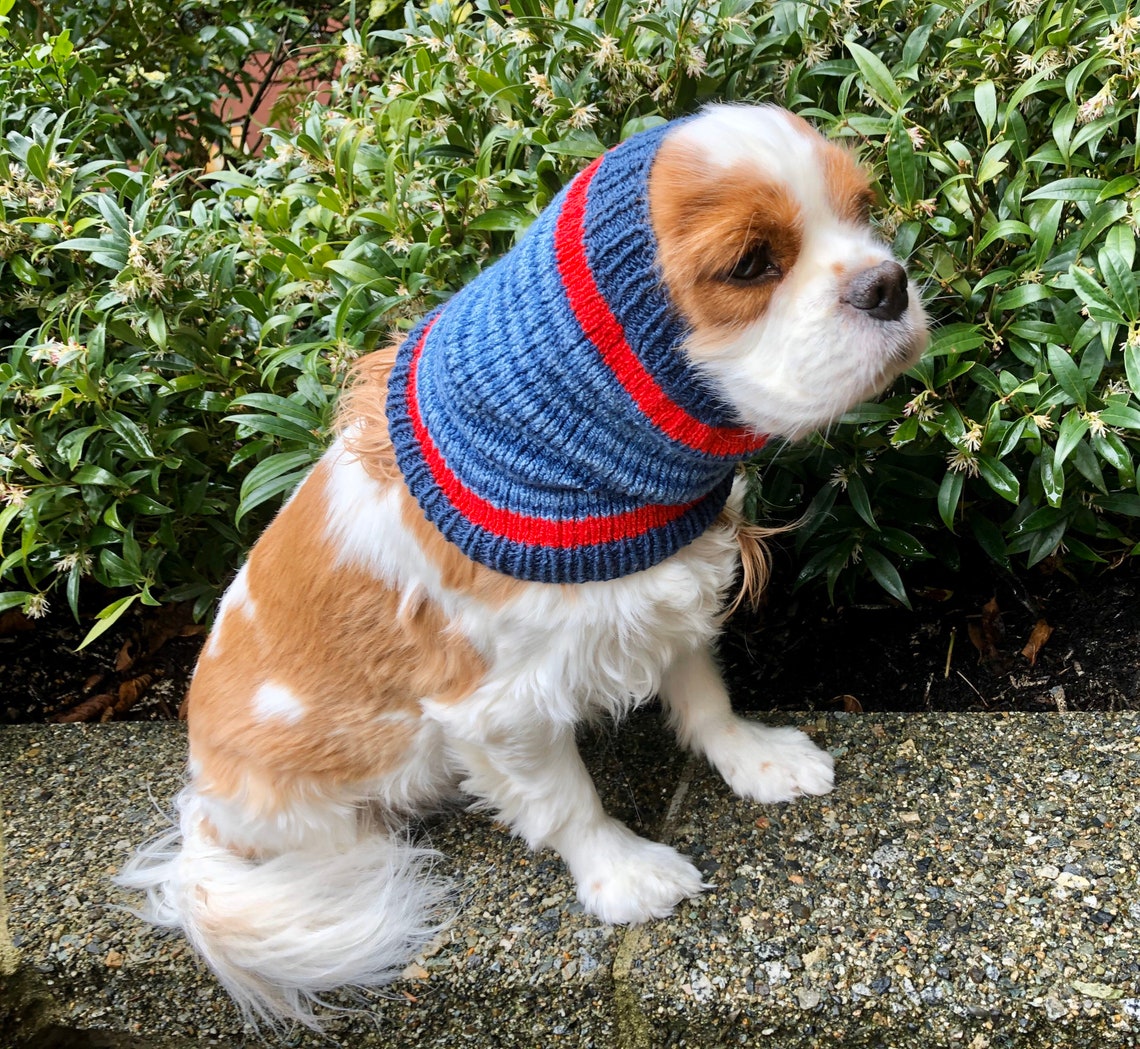 Le coton de tous les jours extensible Snood Cavalier Spaniel - Etsy France