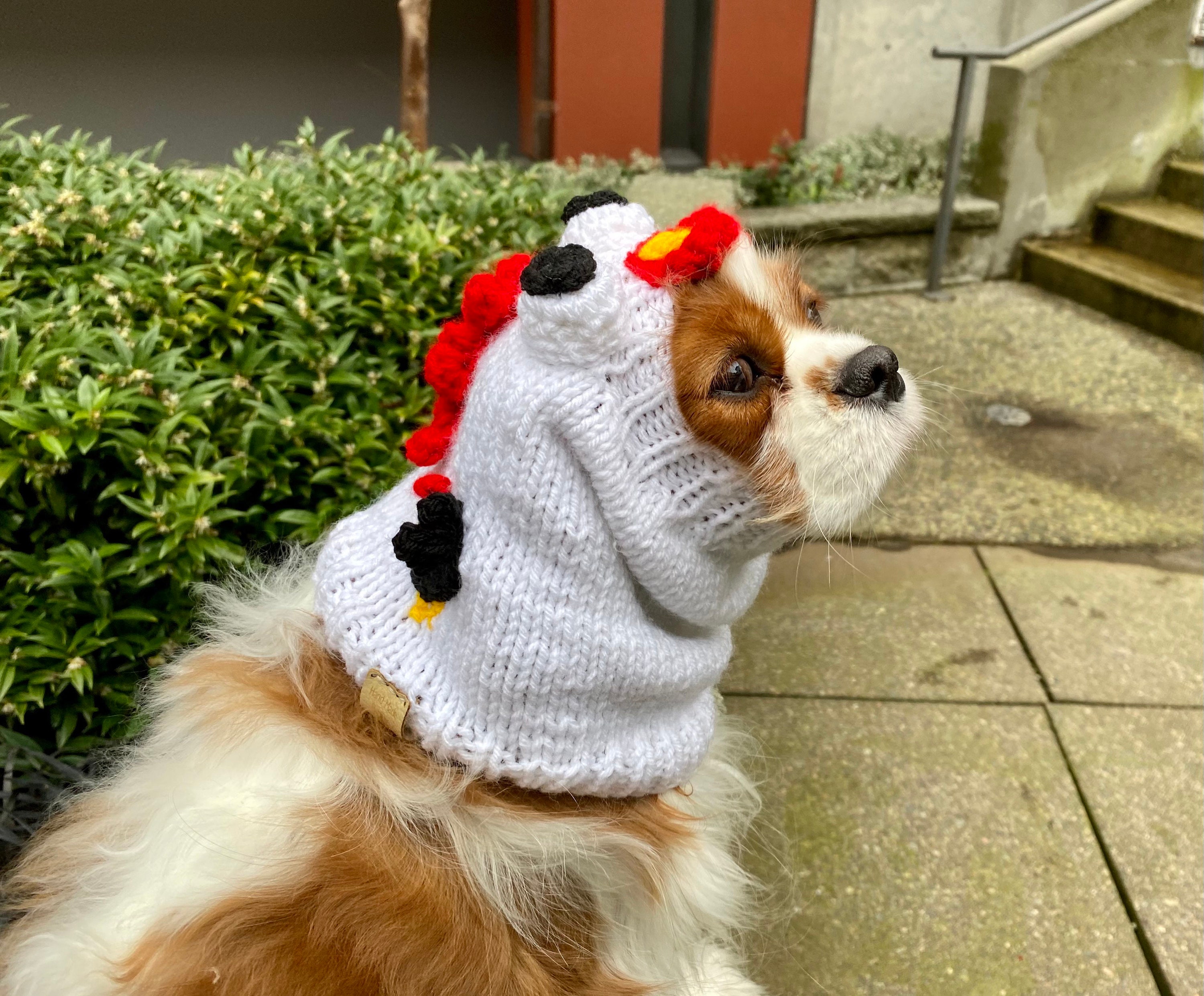 Spring Chicken Snood Cavalier Spaniel Snood Cocker English Toy | Etsy