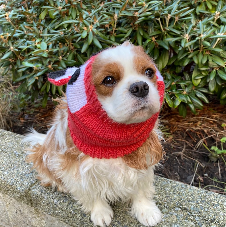 The Garden Fox Cavalier Spaniel Snood Cocker English Toy - Etsy