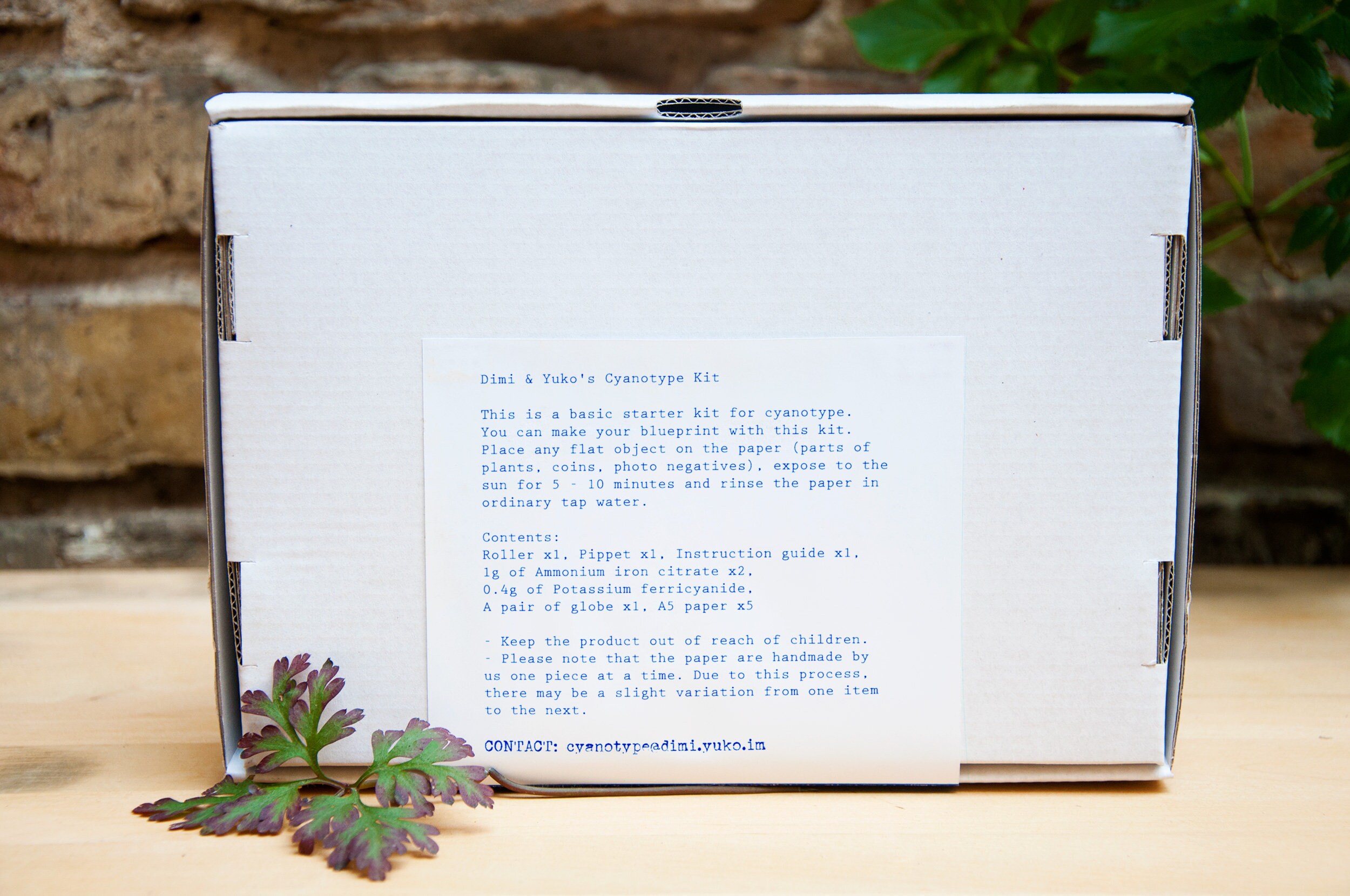 Cyanotype Kit A Simple Blueprint Starter Kit for Your - Etsy