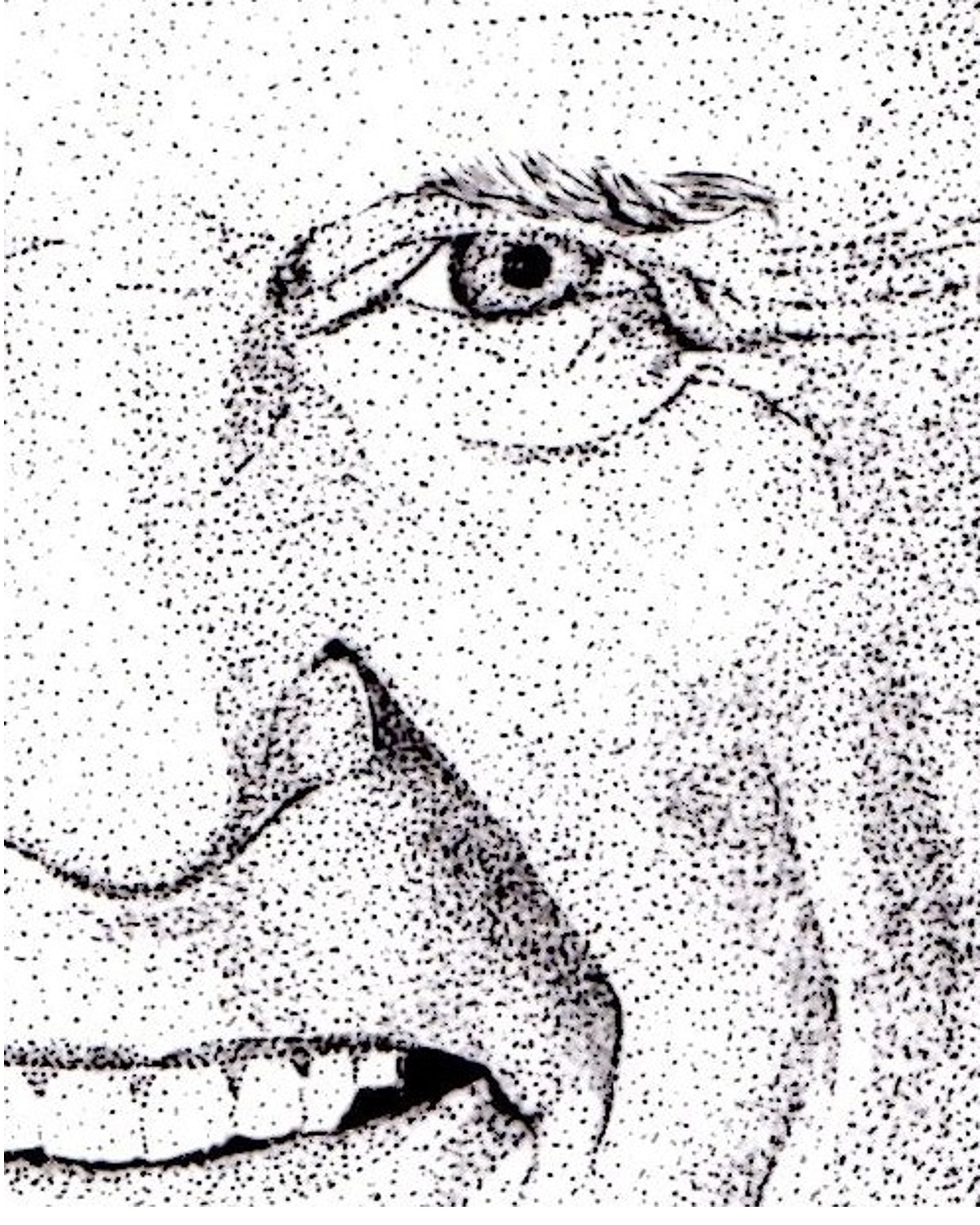 Russell M. Nelson Stipple Drawing, President Nelson, Digital Download ...