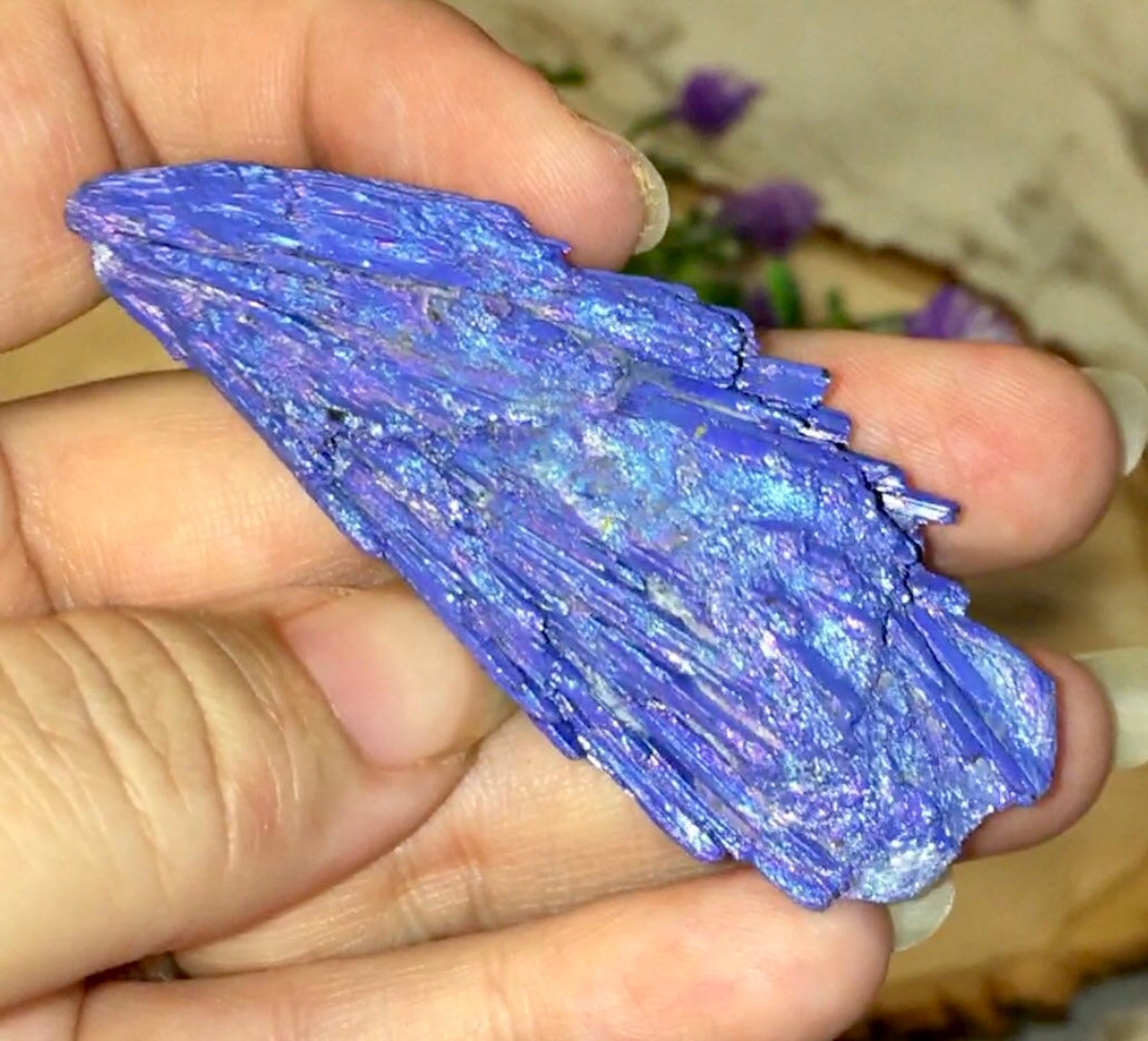 Gorgeous Titanium Aura Black Kyanite Fan. Blue Rainbow Colors. | Etsy