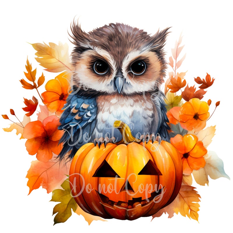 Fall Owl Clipart - Etsy