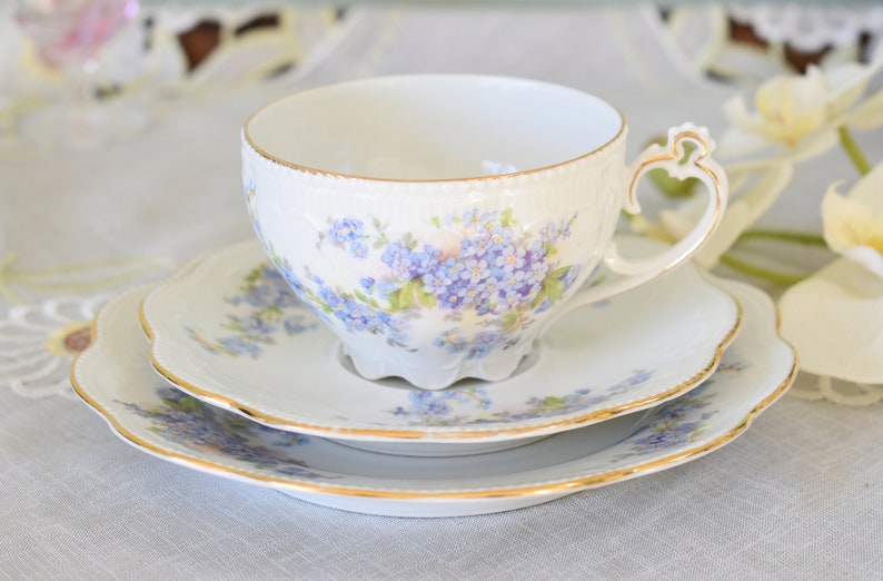 Antique Turn Alexandra Porcelain Works Royal Vienna Code 5037 - Etsy