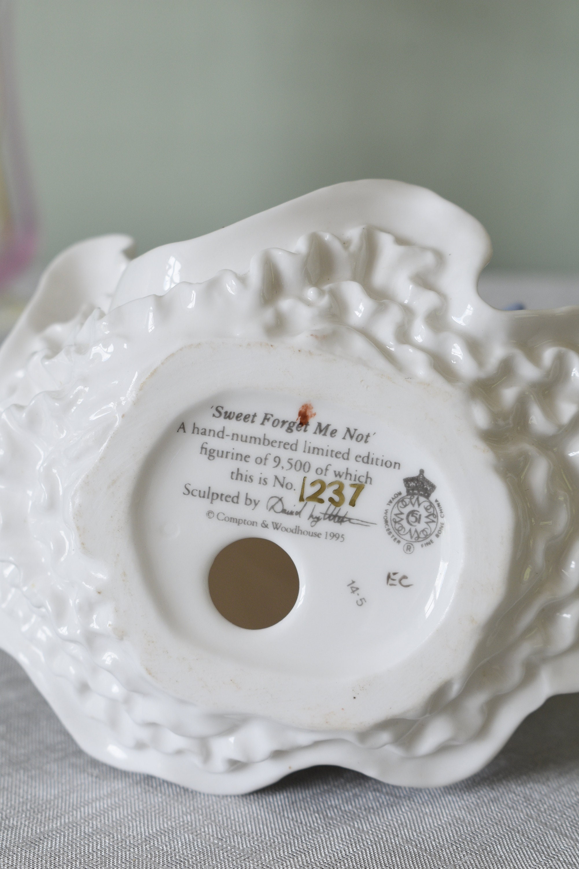 Vintage Royal Worcester sweet Forget Me Not - Etsy UK