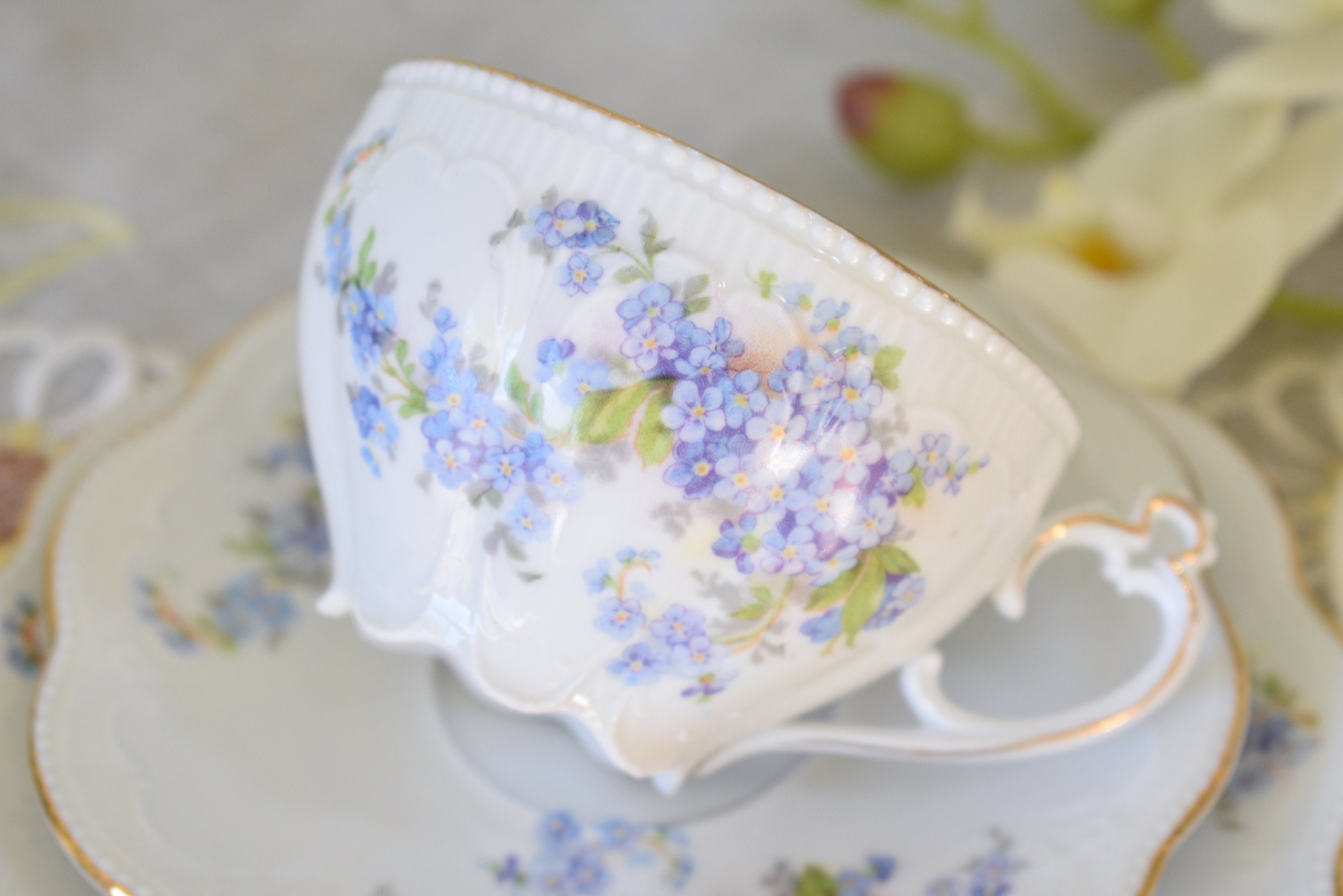 Antique Turn Alexandra Porcelain Works Royal Vienna Code 5037 Forget-me ...