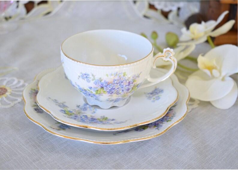 Antique Turn Alexandra Porcelain Works Royal Vienna Code 5037 - Etsy