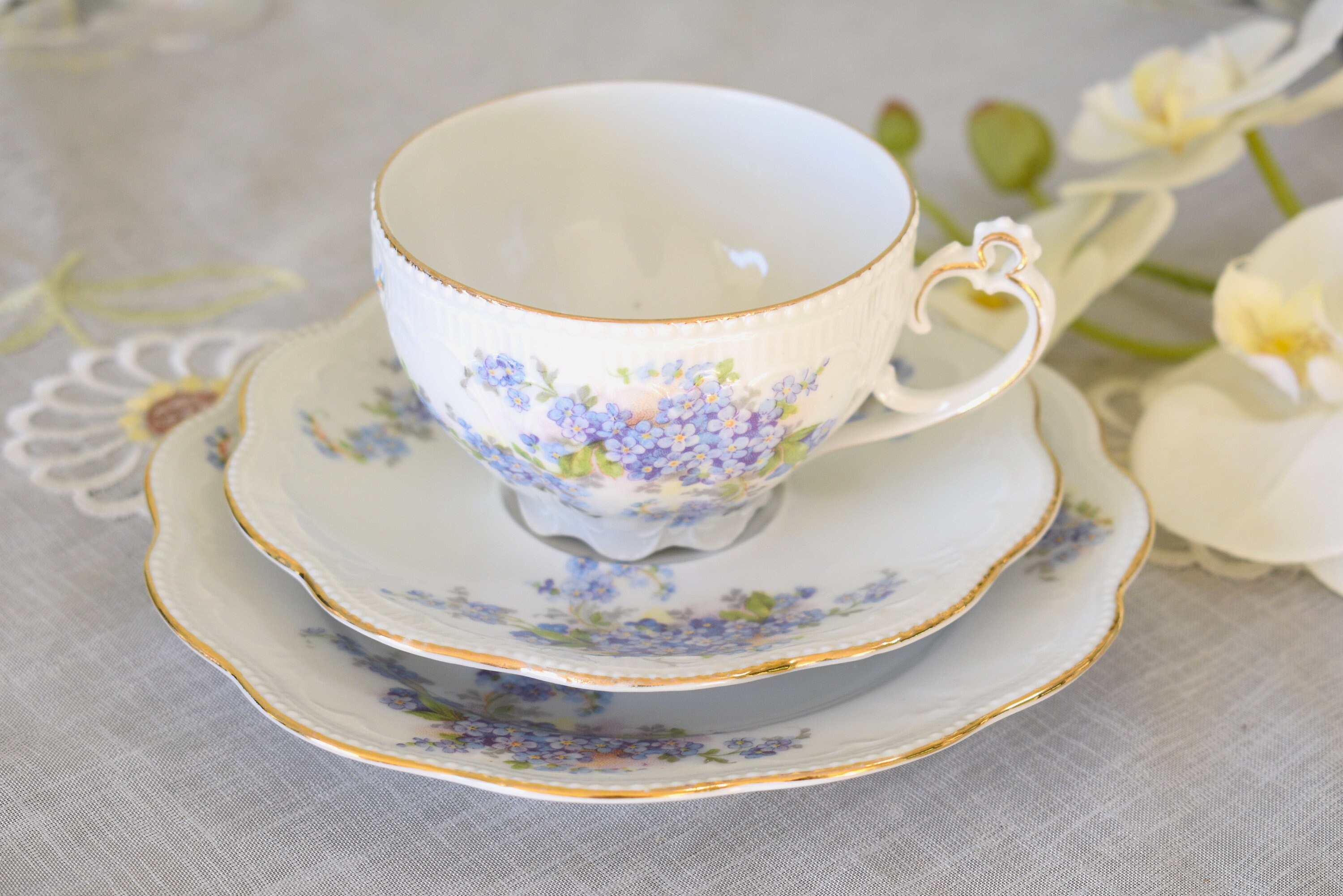 Antique Turn Alexandra Porcelain Works Royal Vienna Code 5037 Forget-me ...