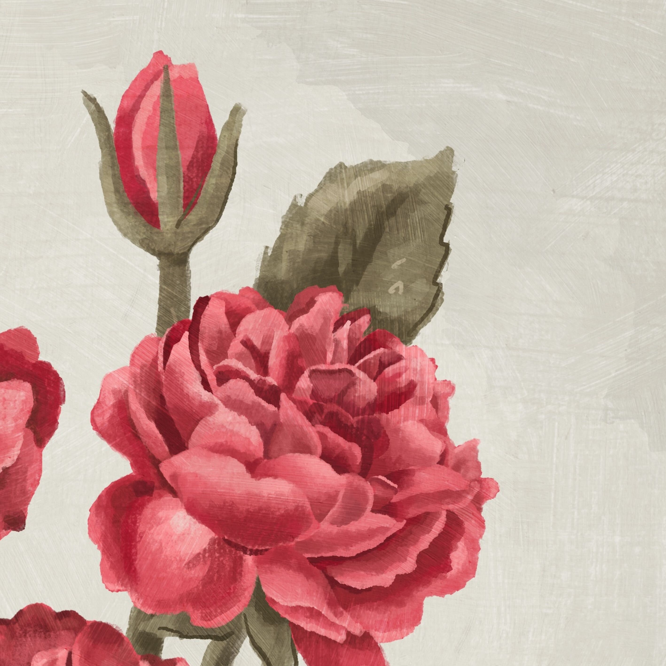 June Birth Flower Print Roses - Etsy