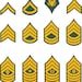 United States US Army Rank Insignia Chevrons, All Colors, Digital ...