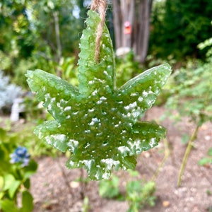 Custom Pot Leaf Marijuana Aroma Bead Car Freshie || Car Air Freshener ...