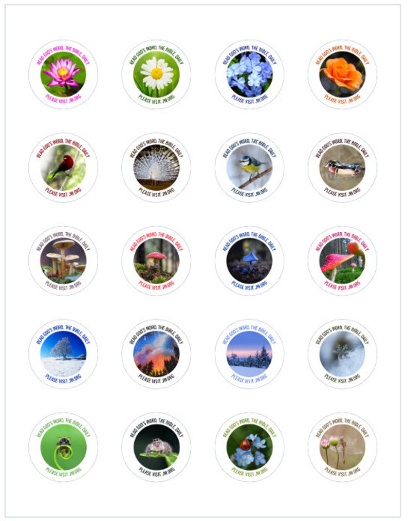 100 Stickers 5 Sheet Variety Pack 20 Stickers per Sheet - Etsy