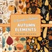Autumn Digital Paper Autumn Seamless Pattern Fall Prints - Etsy