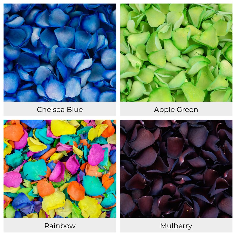 1 Litre of Memorial Funeral Petals Biodegradable Freeze - Etsy