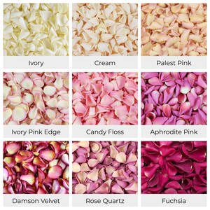 1 Litre of Memorial Funeral Petals Biodegradable Freeze Dried Real Rose ...