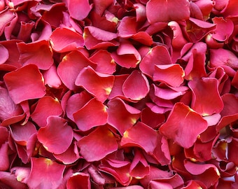 Red Rose Toss Tubes Wedding Confetti Natural Confetti - Etsy