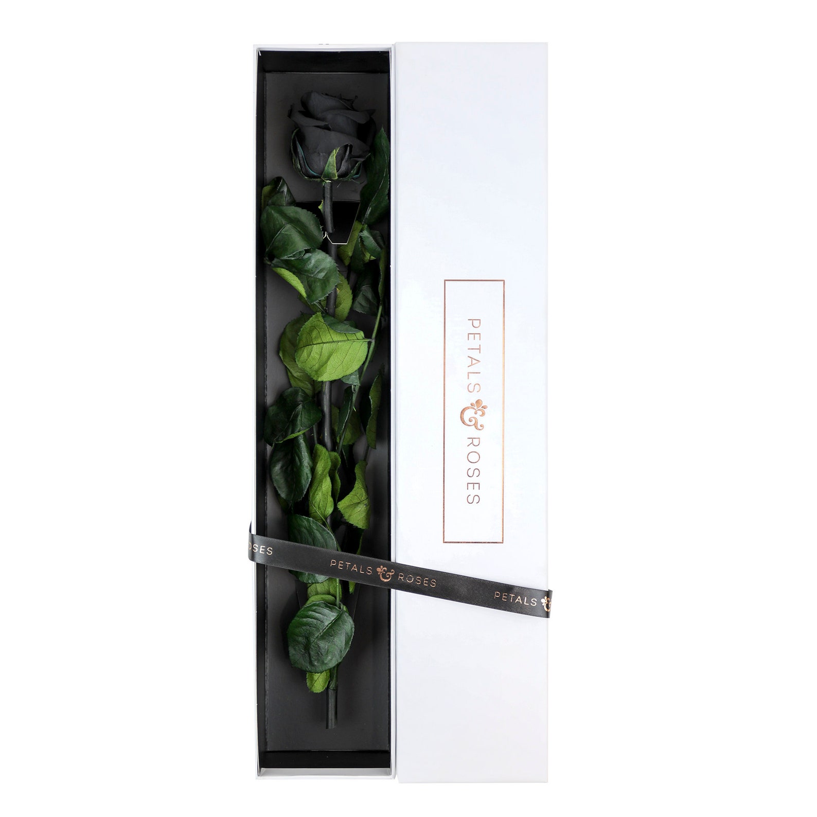Black Forever Single Rose in a Gift Box Real Infinity Roses - Etsy UK
