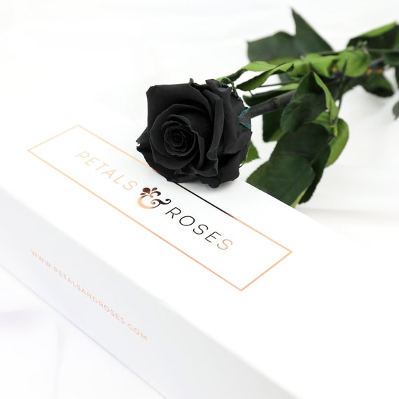 Black Forever Single Rose in a Gift Box Real Infinity Roses - Etsy UK