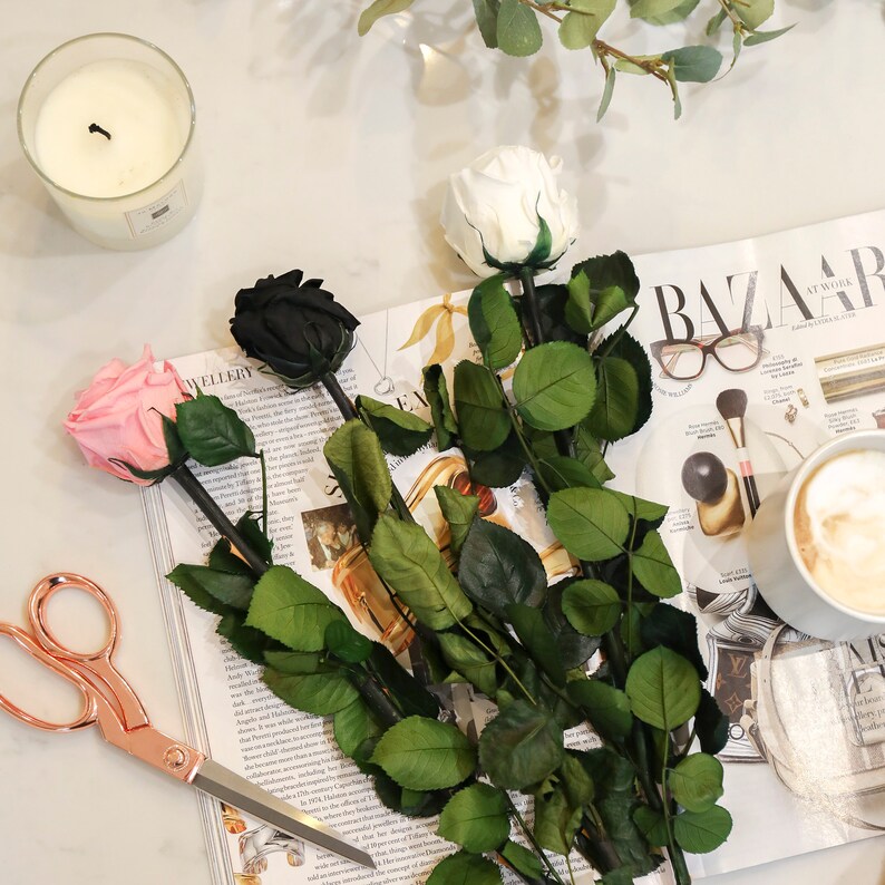 Black Forever Single Rose in a Gift Box Real Infinity Roses - Etsy UK